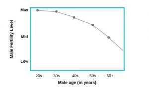 Male Infertility and Aging - Davies Chicago Fertility Specialists ...